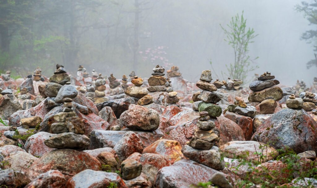 When Monks Take Up Arms: Skilful Means as a Tactical Response to ...